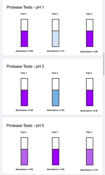 Solved Part 1: Proteases (Hint, use the info from slide 5 | Chegg.com