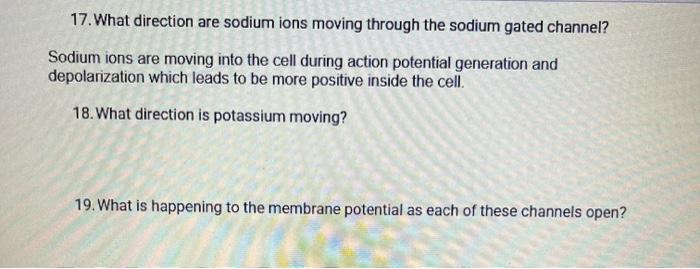 Solved 17. What direction are sodium ions moving through the | Chegg.com