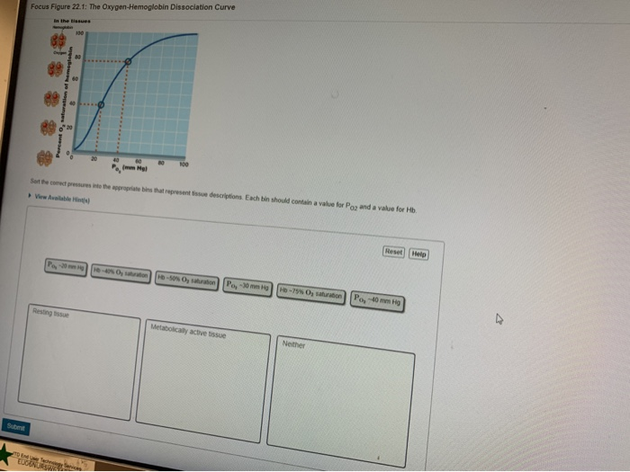 Solved Focus Figure 22.1: The Oxygen-Hemoglobin Dissociation | Chegg.com