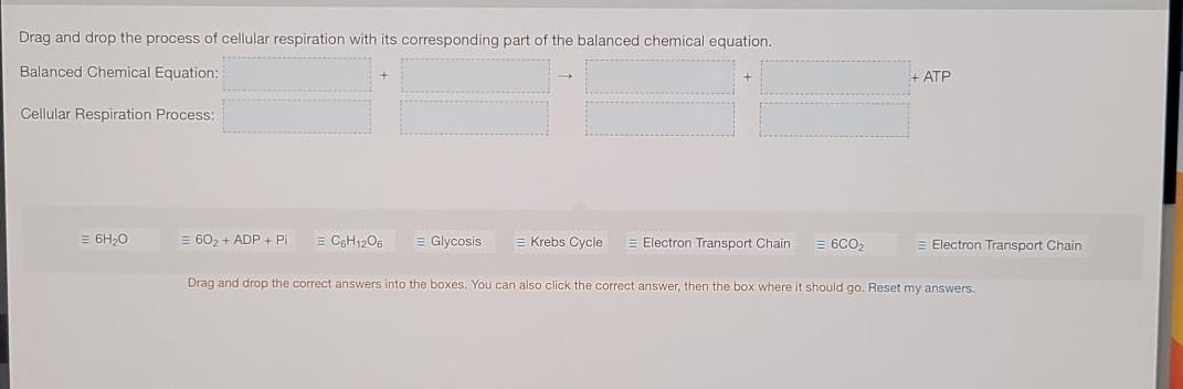 Solved Drag and drop the process of cellular respiration | Chegg.com