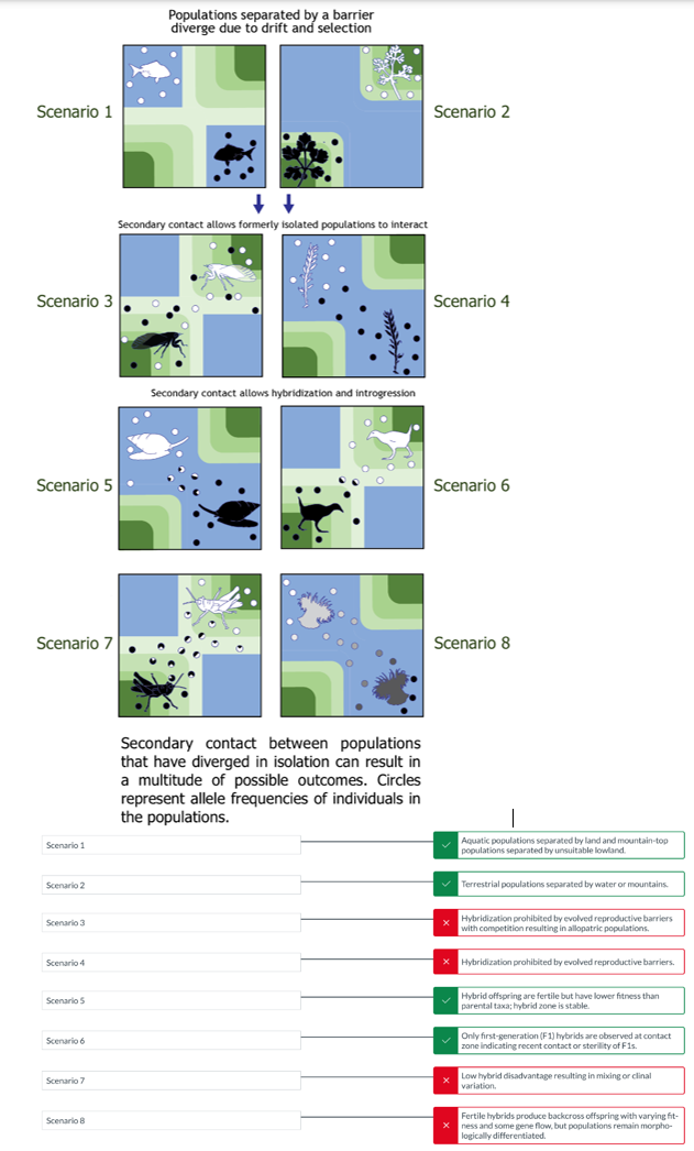 Solved Populations separated by a barrierdiverge due to | Chegg.com