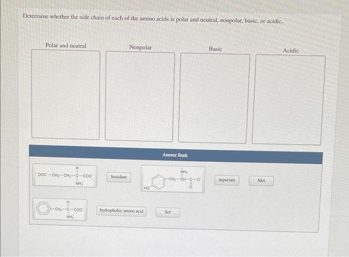 Solved Determine whether the side chain of each of the amino | Chegg.com