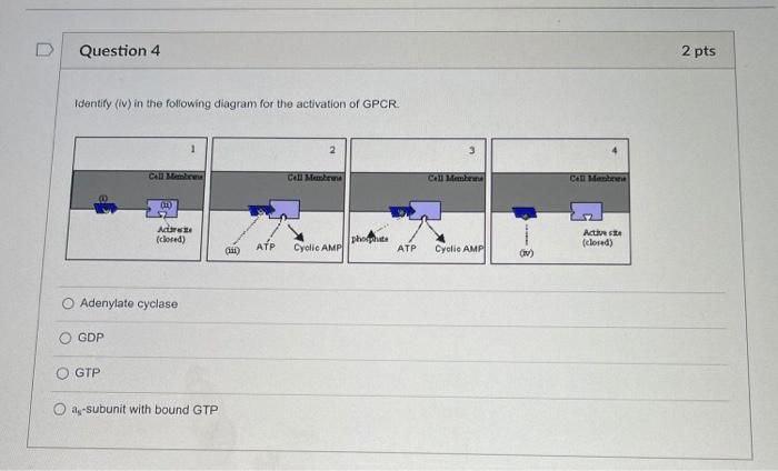 Solved Question 4 2 pts Identity (iv) in the following | Chegg.com