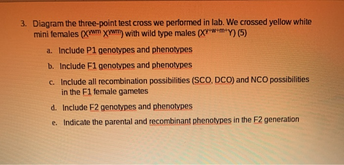 Solved 3. Diagram the three-point test cross we performed in | Chegg.com