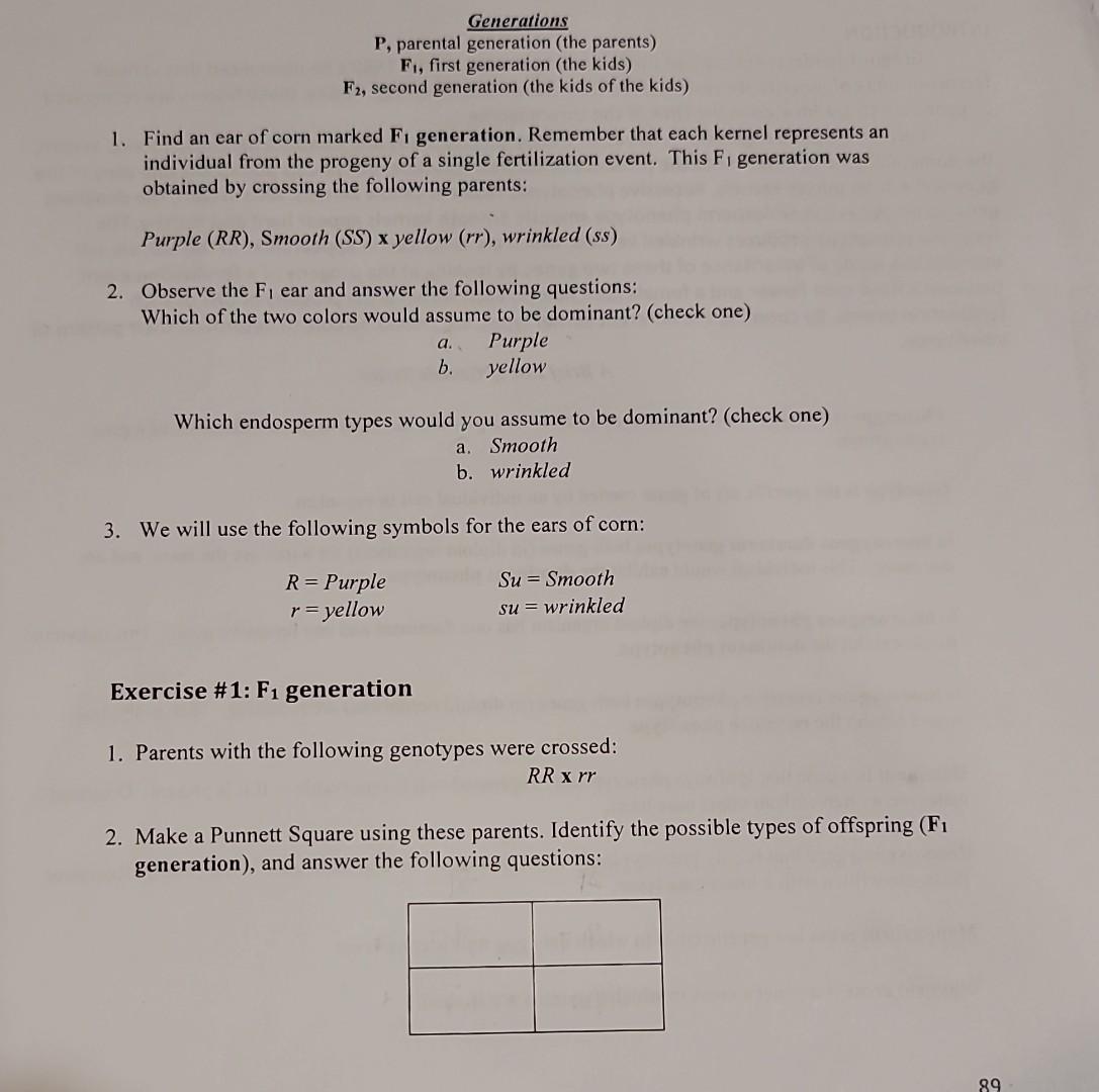 Solved This expanded version of a Punnett square shows how | Chegg.com