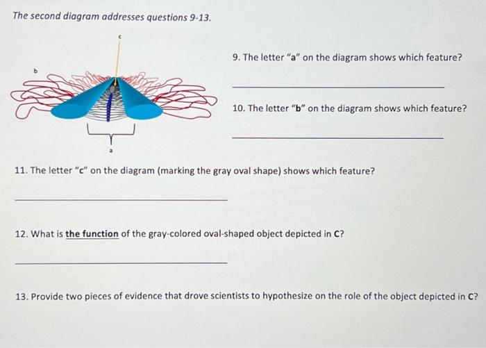 Solved The second diagram addresses questions 9-13. 9. The | Chegg.com