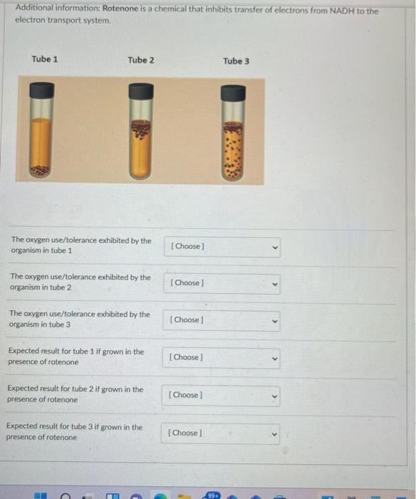 Solved Flasks A and B contain broth, and are inoculated with | Chegg.com