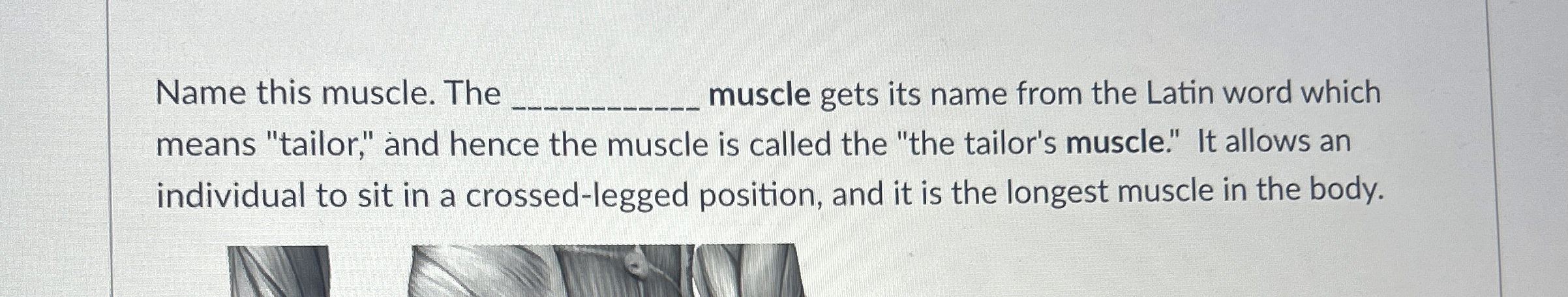 Solved Name this muscle. The q, ﻿muscle gets its name from | Chegg.com