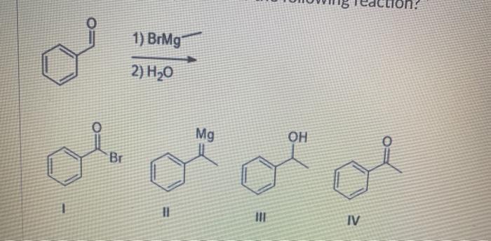 Solved 1) BrMg 2) H20 Mg OH Br II 101 IV | Chegg.com
