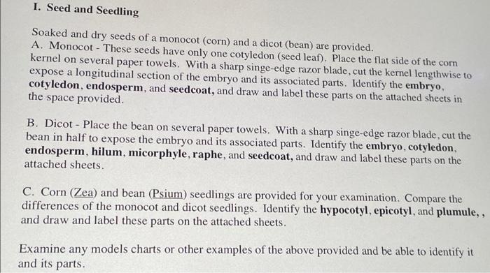 Solved Draw and label the parts of a corn and bean seedling | Chegg.com