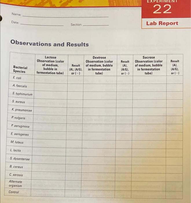 Solved EXPERI 22 Name Date Section Lab Report Observations | Chegg.com