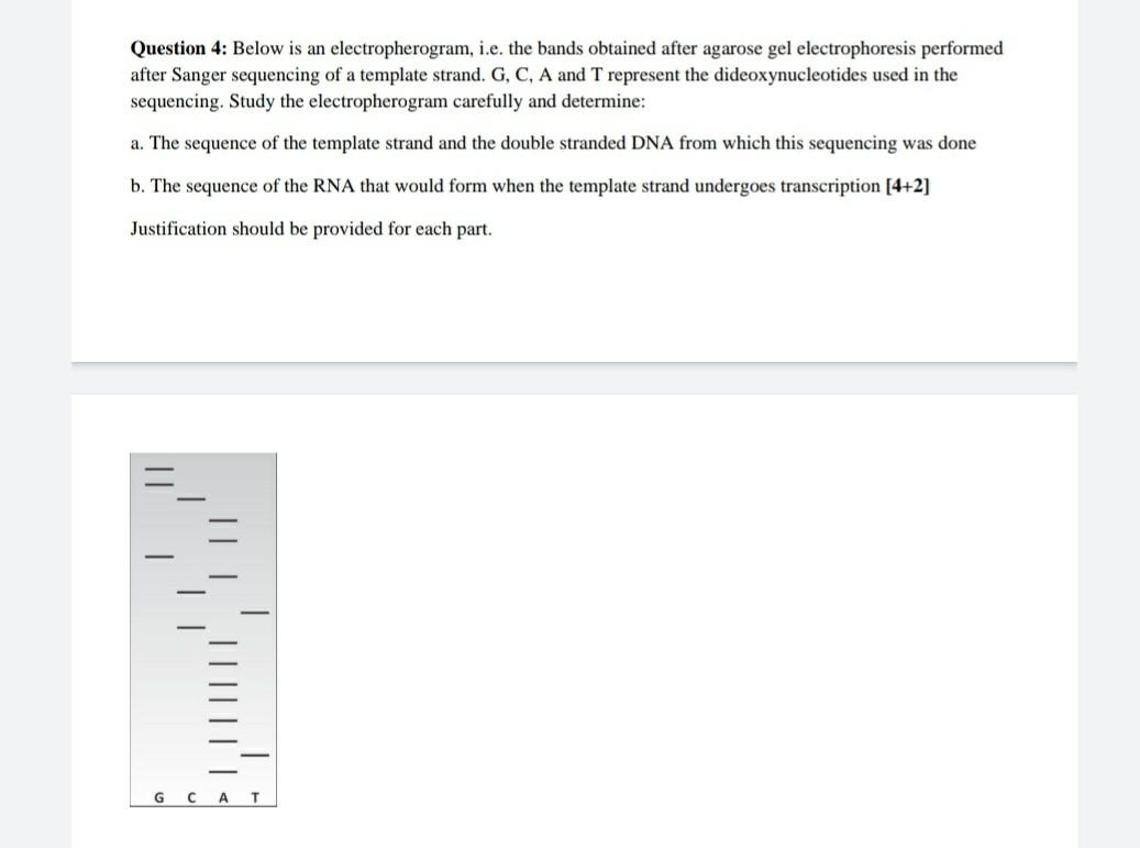 Solved Question 4: Below is an electropherogram, i.e. the | Chegg.com