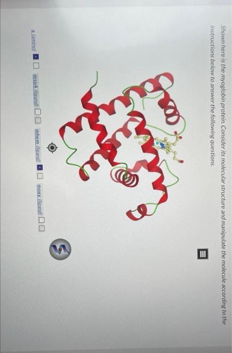 Solved Shown Here Is The Myoglobin Protein Consider Its
