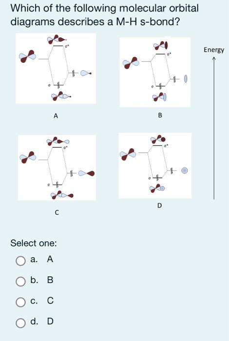 Solved Drag and drop the appropriate words into the correct | Chegg.com