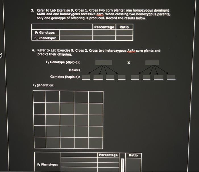 Solved 3. Refer to Lab Exercise 9, Cross 1. Cross two corn | Chegg.com