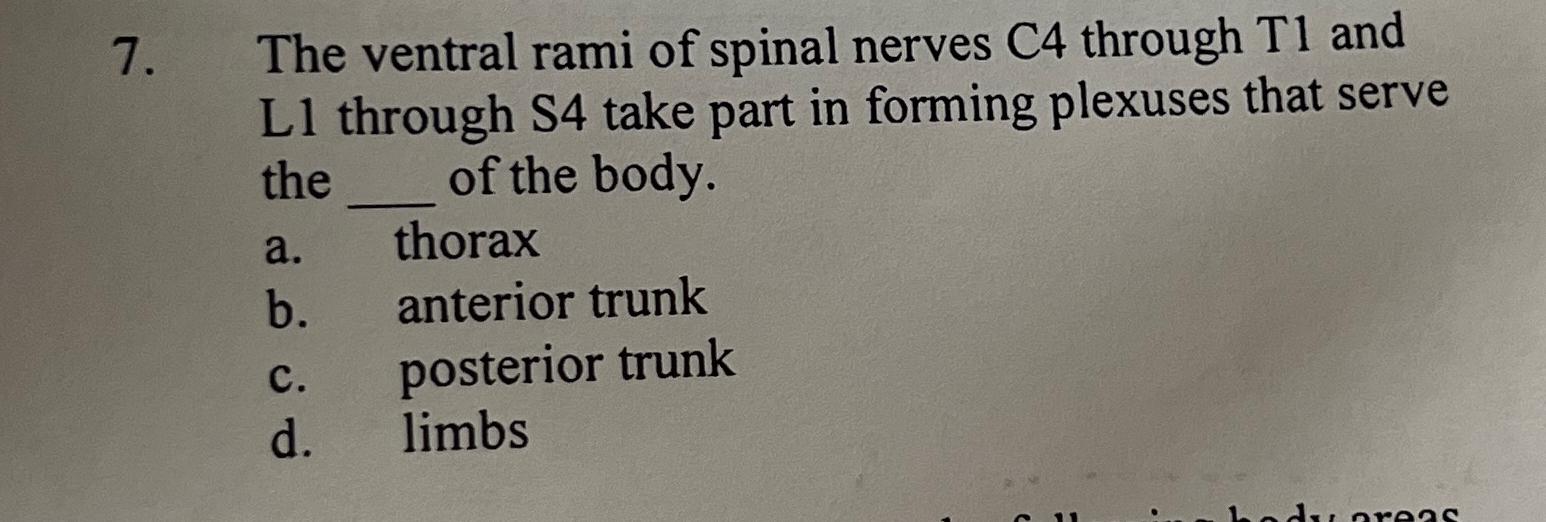 Solved The ventral rami of spinal nerves C4 ﻿through T1 ﻿and | Chegg.com