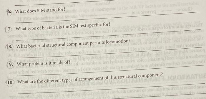 Solved 6. What does SIM stand for? 7. What type of bacteria | Chegg.com