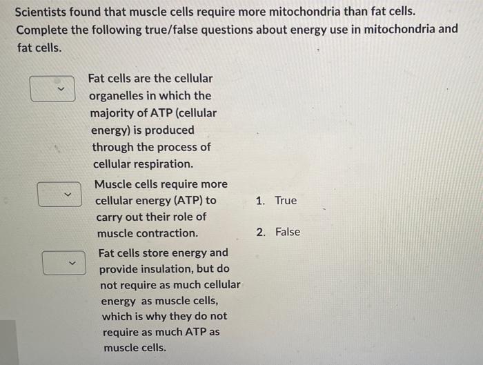 Solved Fill in the blanks using the following terms: does | Chegg.com