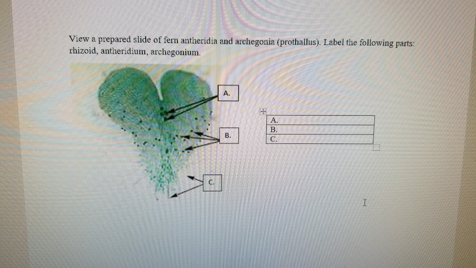 Solved ity Mode - Saved to this PC- Sech View Help View a | Chegg.com