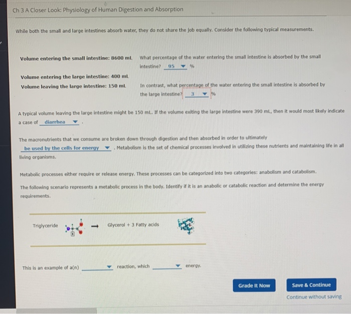 Solved Ch 3 A Closer Look: Physiology of Human Digestion and | Chegg.com