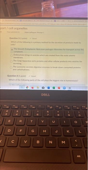 Solved Which of the following is a primary method for the | Chegg.com