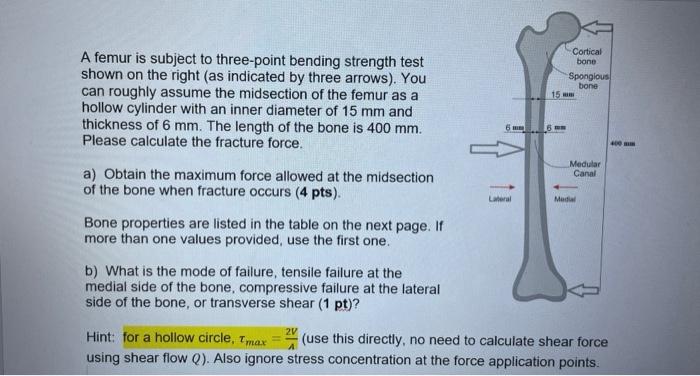 Solved A femur is subject to three-point bending strength | Chegg.com