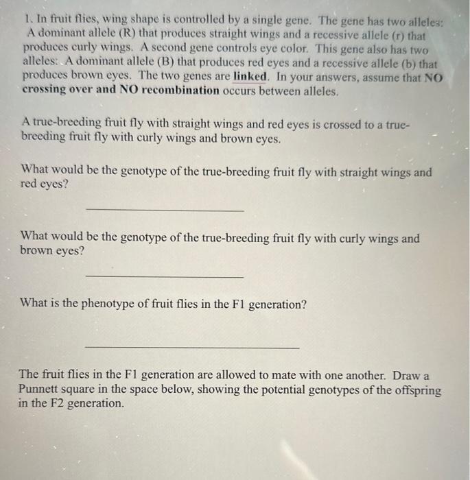 Solved 1. In fruit flies, wing shape is controlled by a | Chegg.com