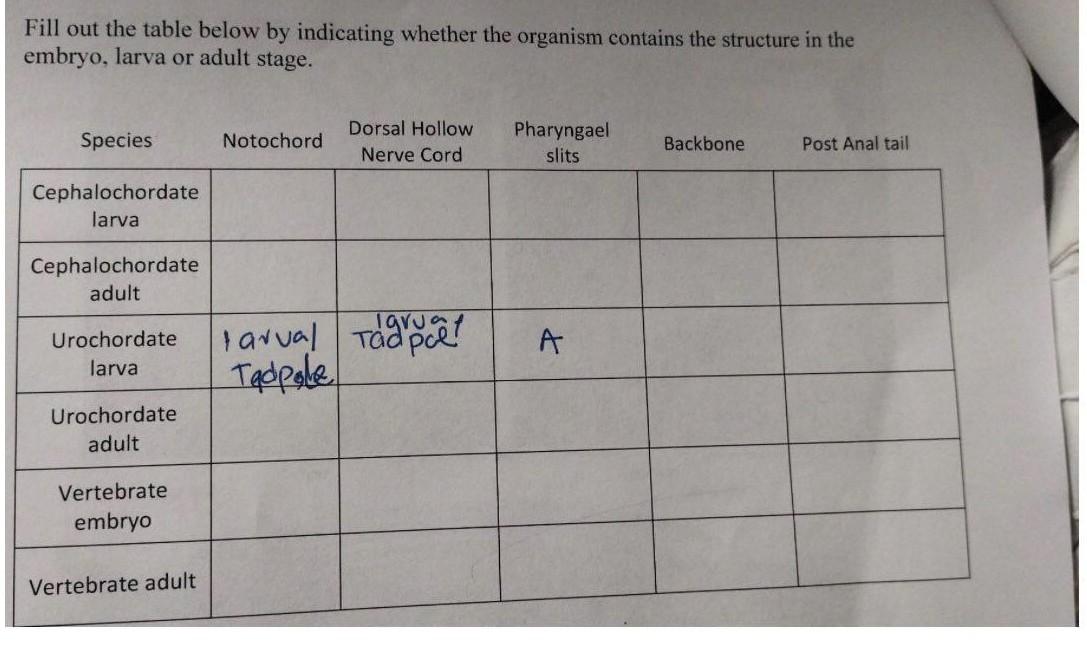 Solved Fill out the table below by indicating whether the | Chegg.com