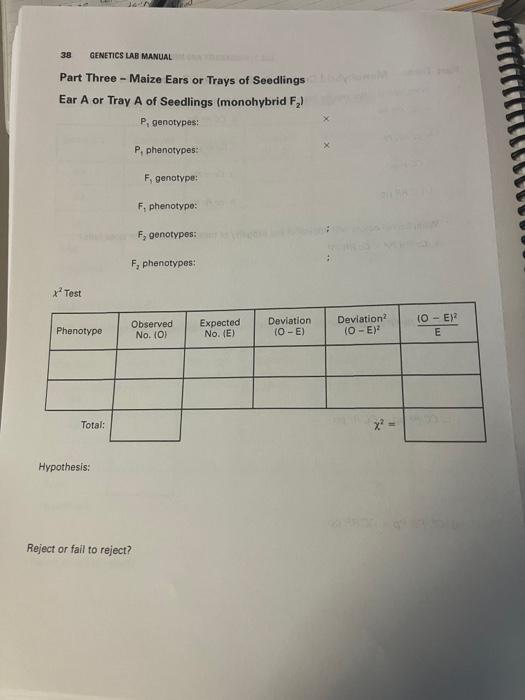 38 GENETICS LAB MANUAL Part Three - Maize Ears or | Chegg.com