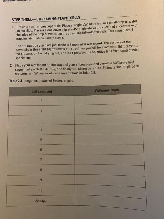 STEP THREE-OBSERVING PLANT CELLS 1. Obtain a clean | Chegg.com