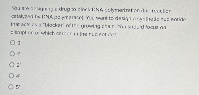Solved You are designing a drug to block DNA polymerization | Chegg.com