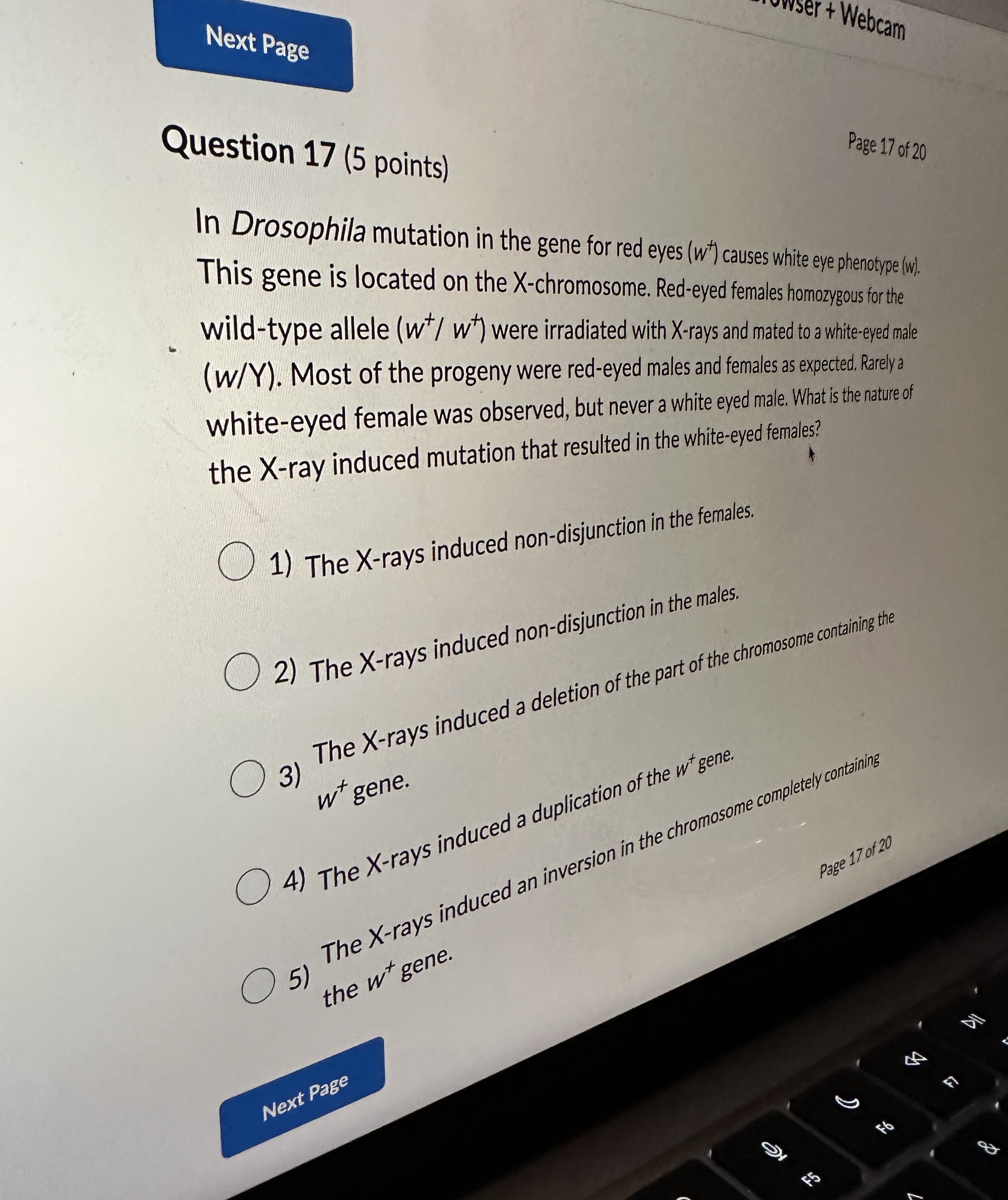 Solved Question 17 (5 ﻿points)Page 17 ﻿of 20In Drosophila | Chegg.com
