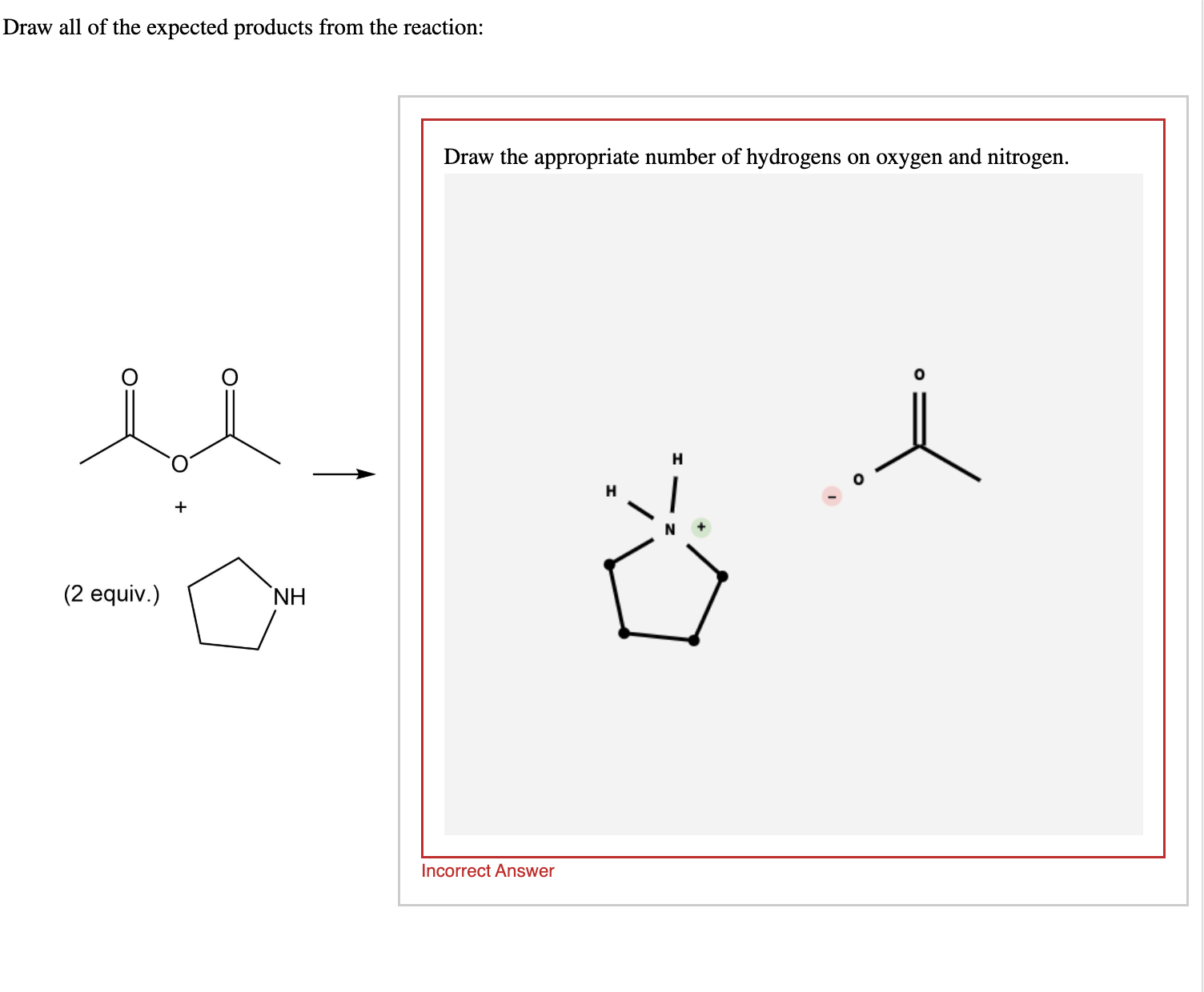 Solved Draw all of the expected products from the | Chegg.com