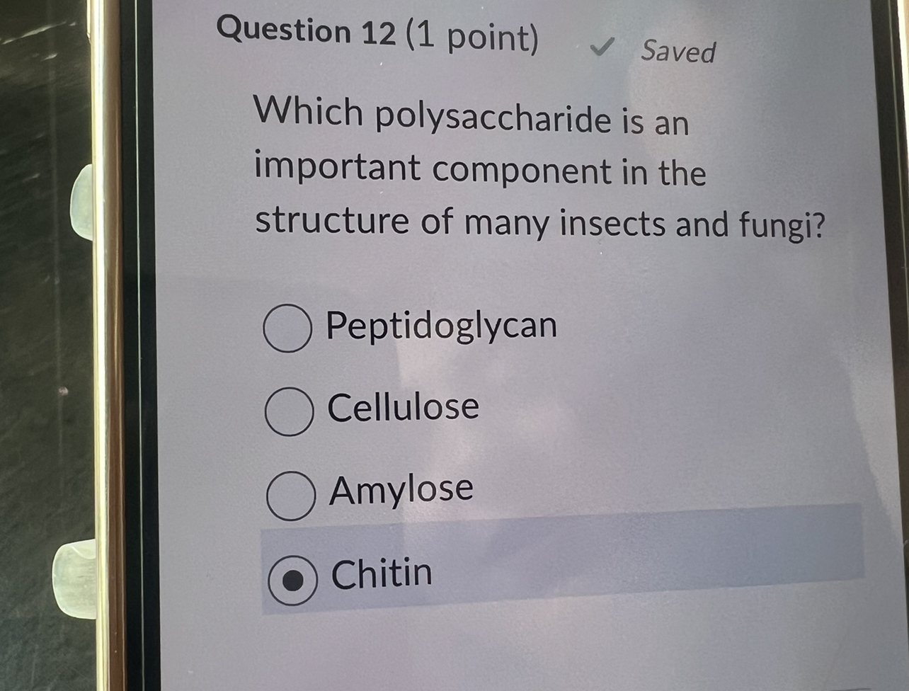 Solved Question 12 (1 ﻿point)Which polysaccharide is | Chegg.com