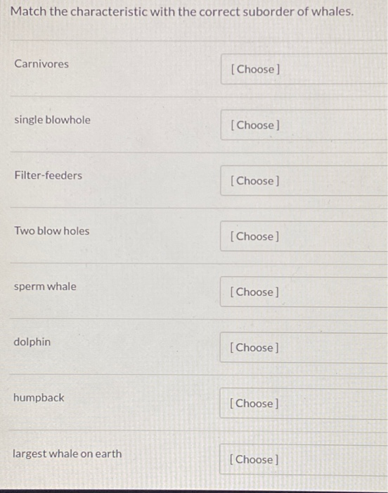 Solved Match the characteristic with the correct suborder of | Chegg.com