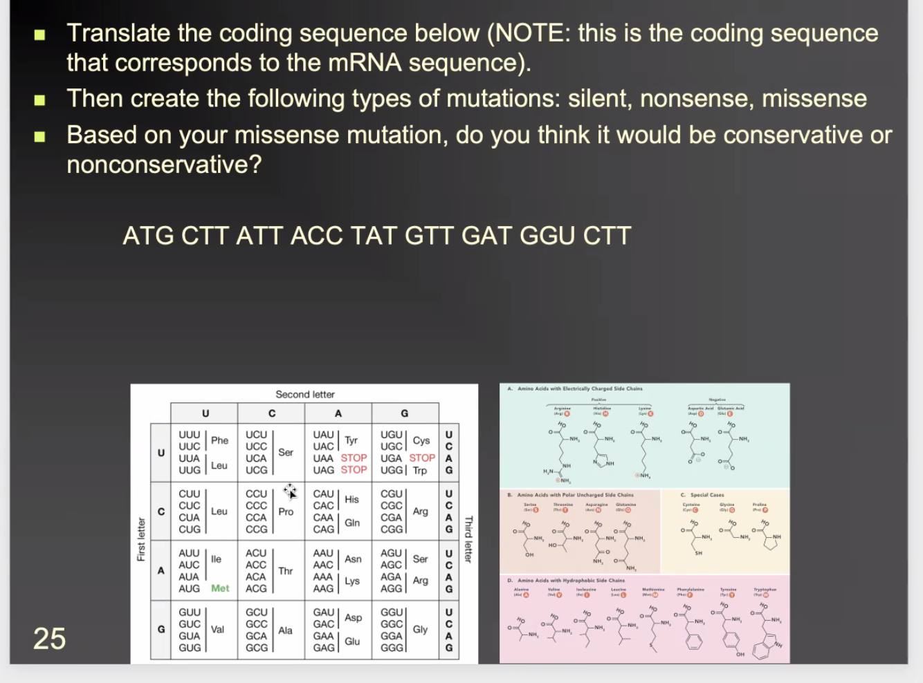 Solved Translate the coding sequence below (NOTE: this is | Chegg.com