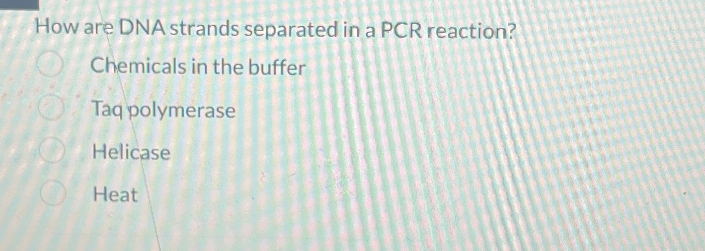 Solved How are DNA strands separated in a PCR | Chegg.com