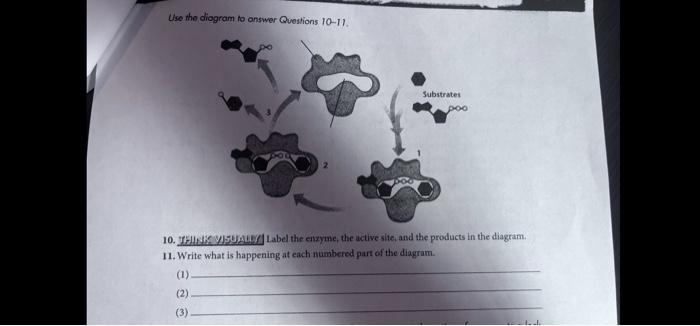 Solved Use the diogram to onswer Questions 10-11. 11. Write | Chegg.com