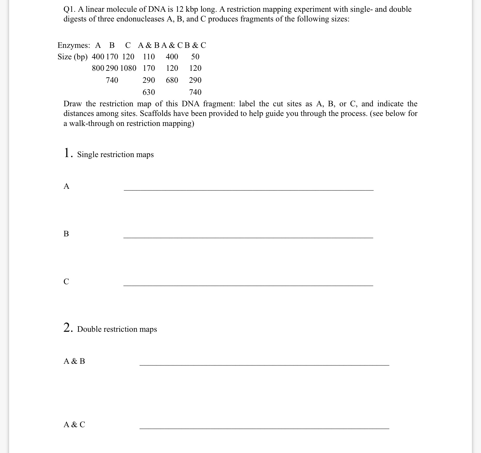 Solved Q1. ﻿A linear molecule of DNA is 12kbp ﻿long. A | Chegg.com