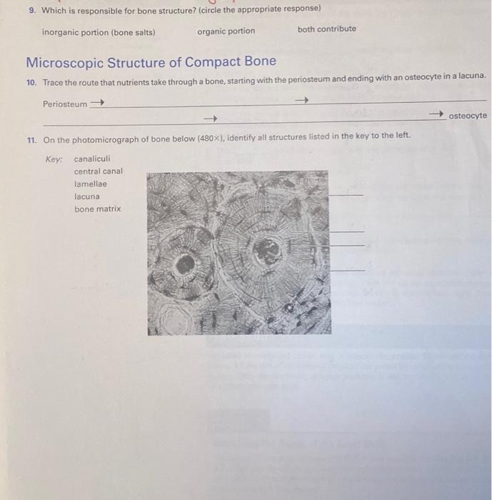 Solved Plz Help Chegg
