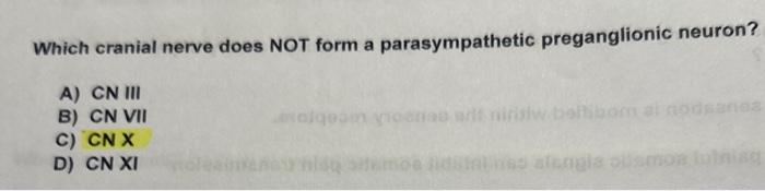 Solved Which cranial nerve does NOT form a parasympathetic | Chegg.com