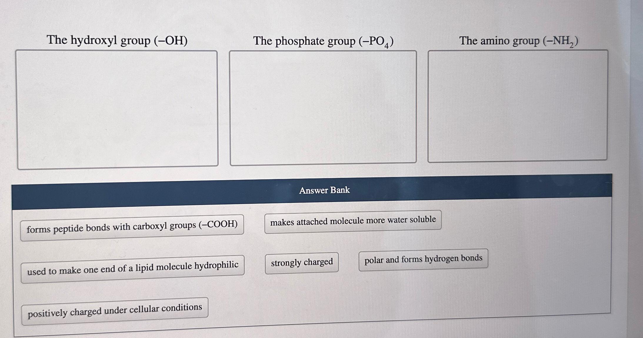 Solved The hydroxyl group (-OH)The phosphate group (-PO4)The | Chegg.com