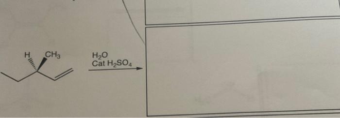 Solved CHg グ H2O Cat H2SO4 | Chegg.com