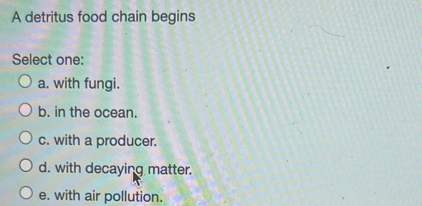 Solved A detritus food chain beginsSelect one:a. ﻿with | Chegg.com