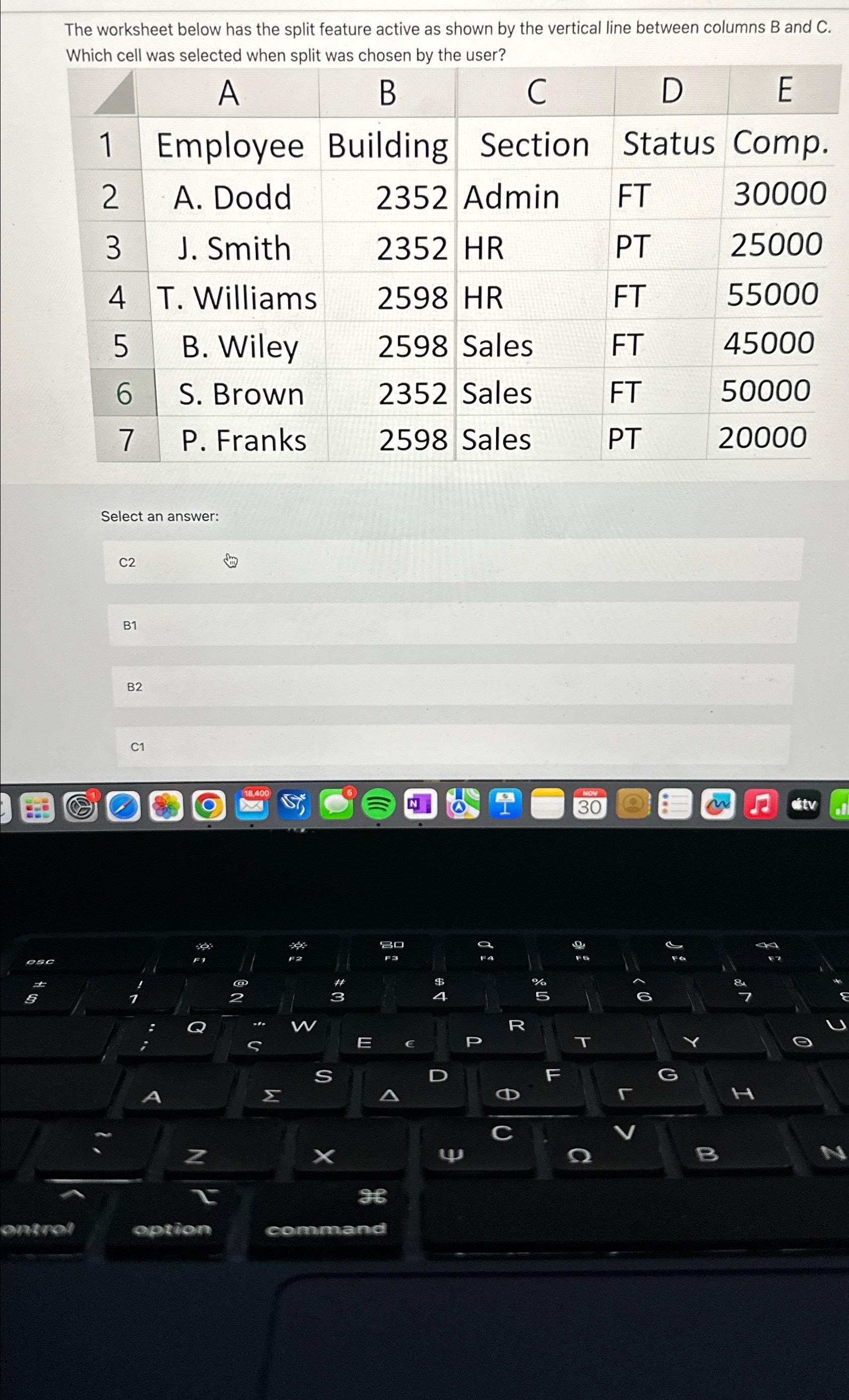 Solved The worksheet below has the split feature active as | Chegg.com