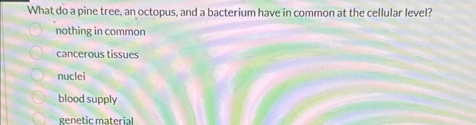 Solved What do a pine tree, an octopus, and a bacterium have | Chegg.com