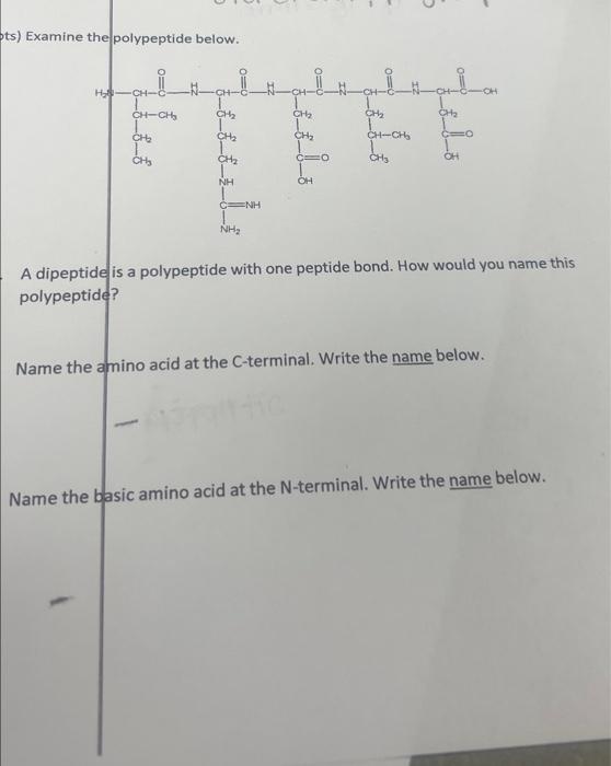 Solved ots) Examine the polypeptide below. H₂N- CH-C- CH-CH3 | Chegg.com