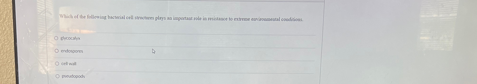 Solved Which of the following bacterial cell structures | Chegg.com