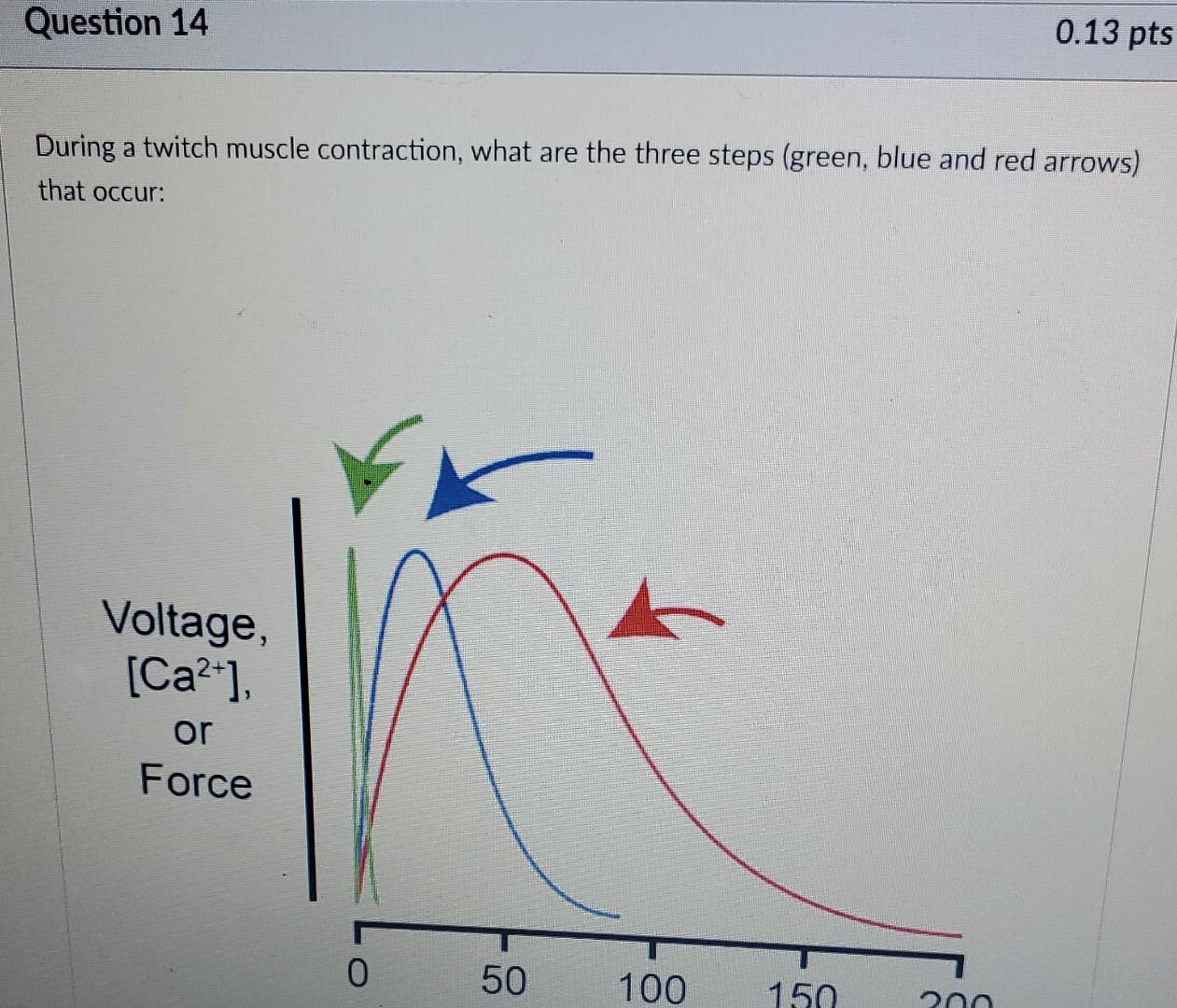 Solved During a twitch muscle contraction, what are the | Chegg.com