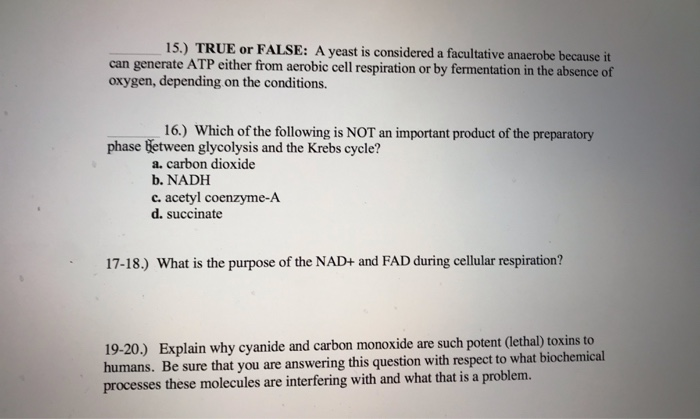 Solved 15.) TRUE or FALSE: A yeast is considered a | Chegg.com